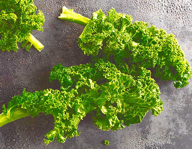 Federkohl als Winter-Vitaminbombe - The SACRED mit Vegelateria