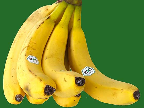 Warum Bananen gesund sind - The SACRED mit Vegelateria